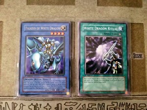 XYangZynchro | eBay Stores