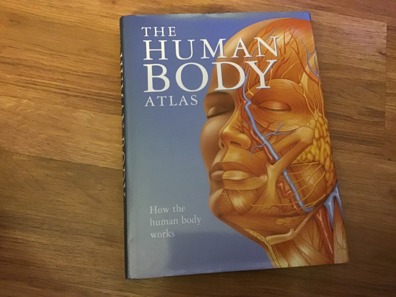 The Human Body Atlas : How the Human Body Works by Global Book ...