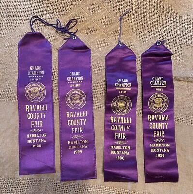 1929-30 Hamilton Montana RAVALLI County Fair Grand Champion Ribbons ...