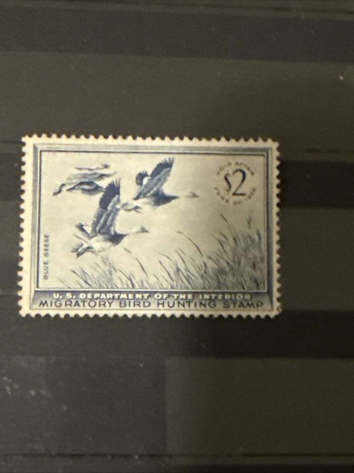 Early US Duck Stamp Lot Unused CV$300+ | eBay