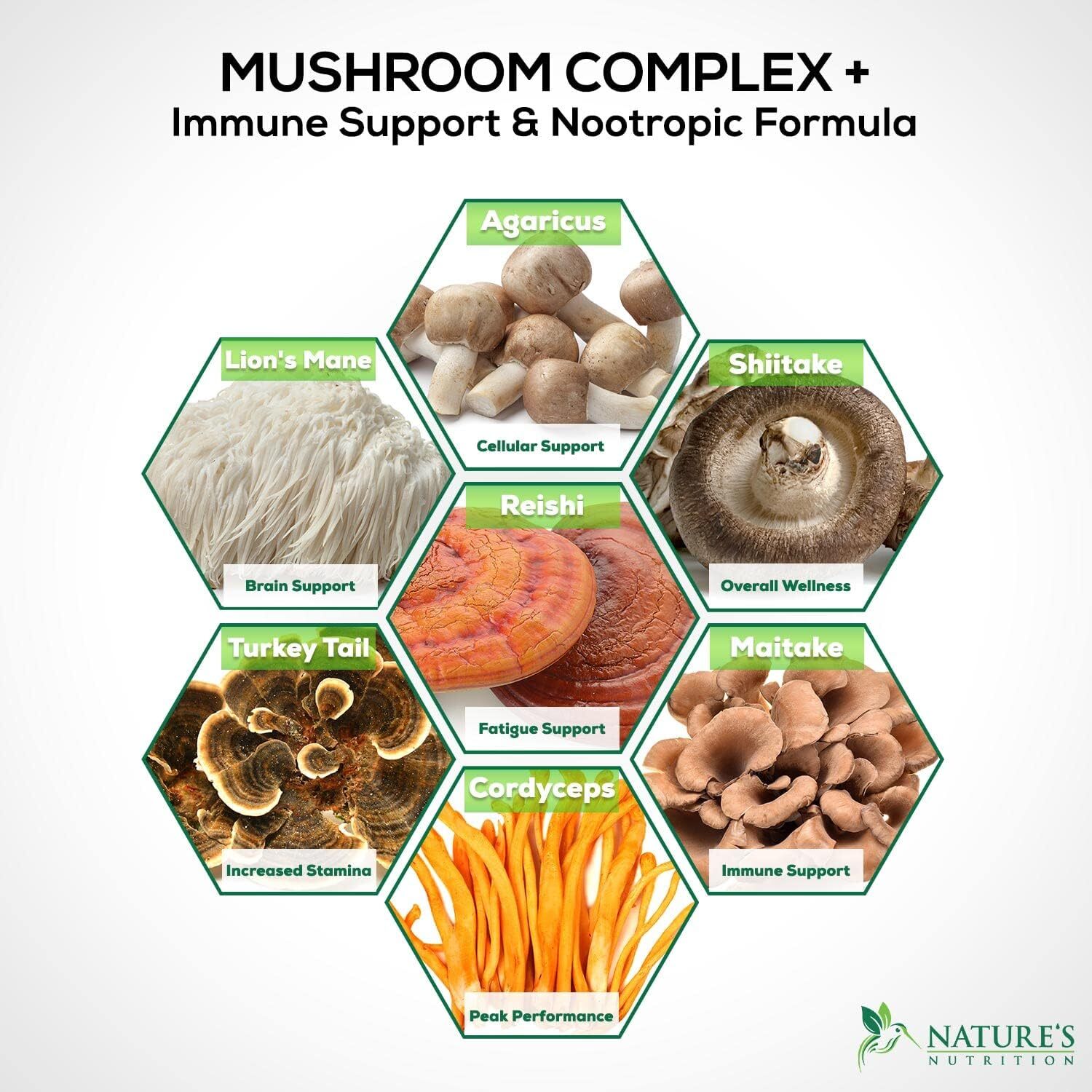Mushroom Complex Supplement Capsules - 10 Mushrooms Lions Mane, Reishi ...