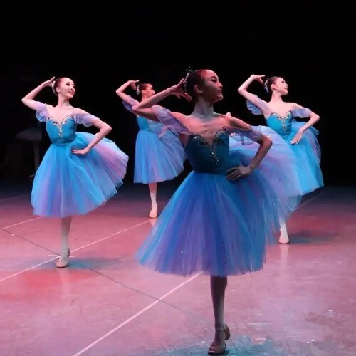 Romantic Ballet Tutu Blue Ballet Dress Performance Clothes Swan Lake ...
