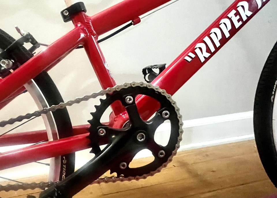 SE Racing RIPPER JR 20” BMX Racing Bicycle | eBay