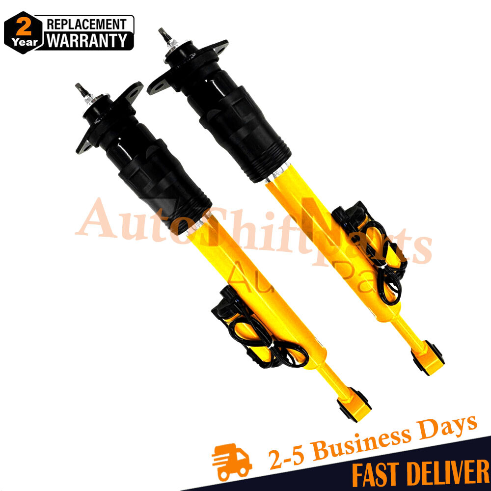 Pair Rear Shock Struts Fit Dodge Challenger Charger SRT SRT8 SXT R/T ...