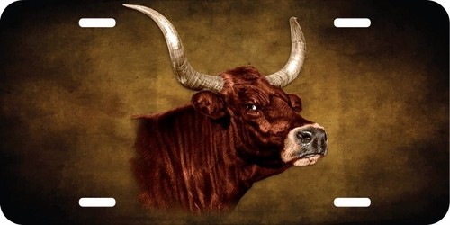 Longhorn Bull Cow Horns Farm Cowboy Rodeo Aluminum Car Vanity Plate Tag ...