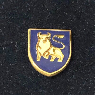 Souvenir JOSTENS JUSTINS Pins Merrill Lynch Pin Badge Collection From ...