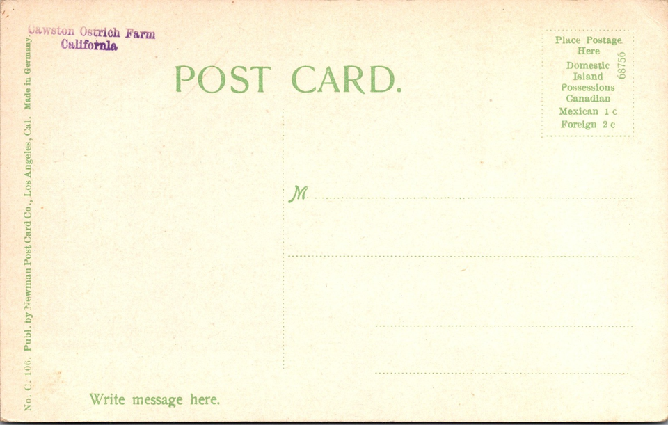 Mt. Wilson California Trail Horseback Riders Scenic View Vintage ...