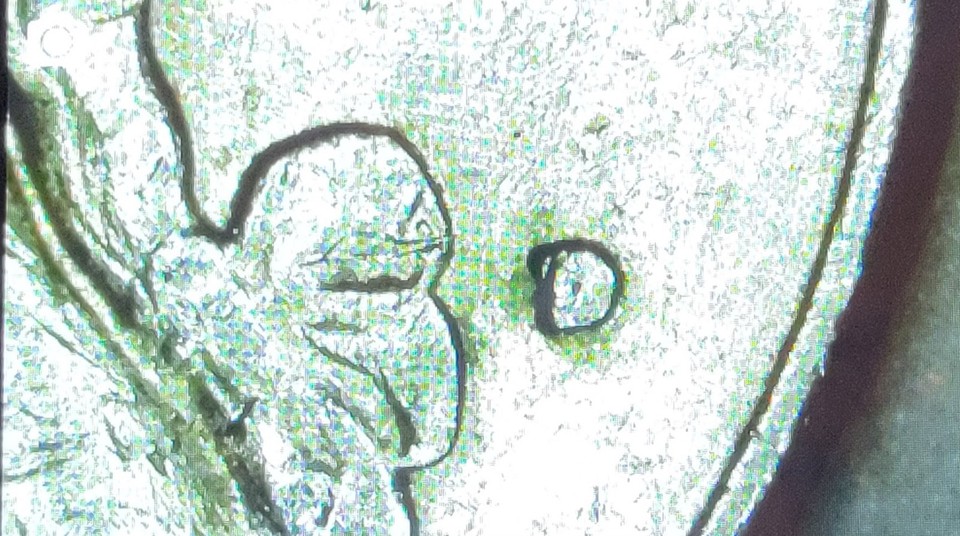1983 D Quarter -D is Filled In - 9 is Straight- Blended Letters RARE ...