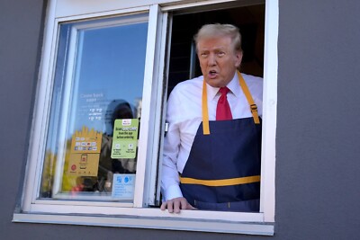 PRESIDENT DONALD TRUMP WORKING AT MCDONALDS AS FRY COOK 11X14 Glossy ...