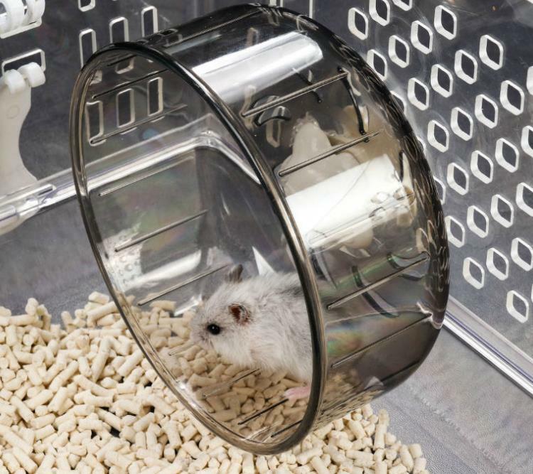 The Hamster Rat Mice Exercise Silent Running Spinner Wheel Pet Toy | eBay