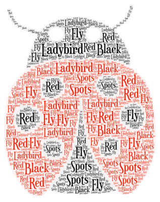 Ladybird Ladybug ~ Personalised Word Art Keepsake Birthday Gift | eBay UK