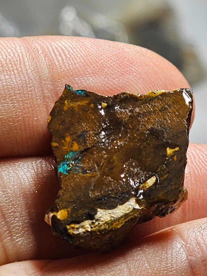 35cts Australian Boulder Rough opal Gamble stone | eBay UK