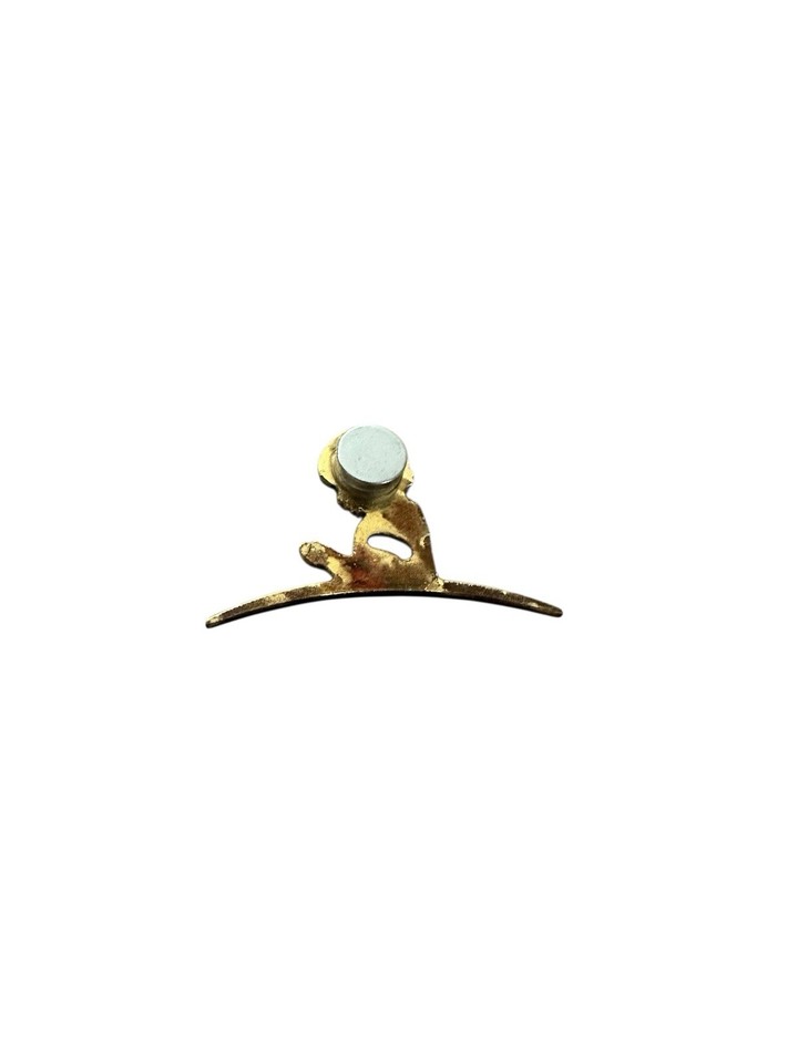 St. Jude Children’s Hospital Gold Tone Magnetic Lapel Pin Tie Pin | eBay