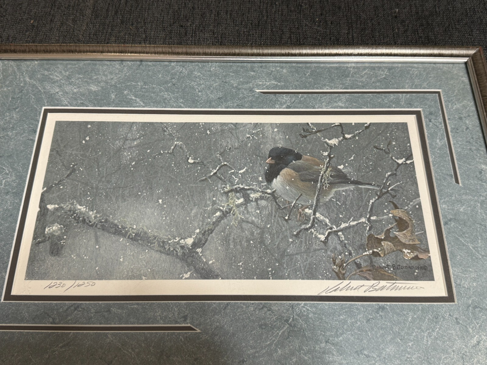 Junco in Winter, Robert Bateman, Limited edition print (1992) - Framed ...