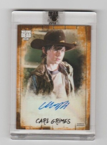 WALKING DEAD AUTOGRAPH COLLECTION CHANDLER RIGGS/CARL GRIMES AUTO #/50 ...