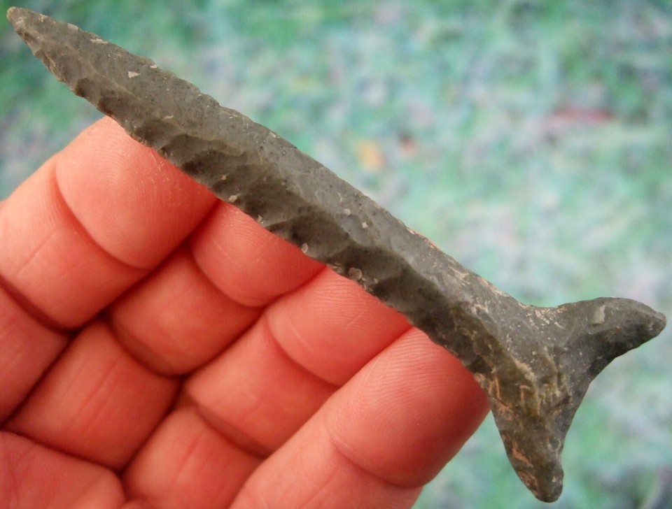Super Fine Museum Quality Alabama Wheeler Paleo Drill with COA ...