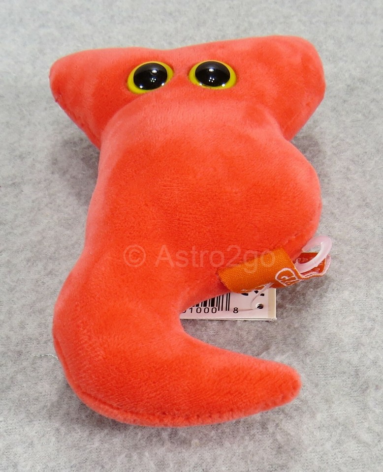 GIANT MICROBES-APPENDIX-Stuffed Plush Organ Appendicitis Colon Anatomy ...