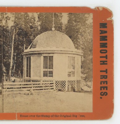 House over Stump of Original Big Tree Mammoth Trees California CA ...