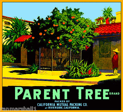 Riverside Mission Inn Parent Tree Orange Citrus Fruit Crate Label Art ...