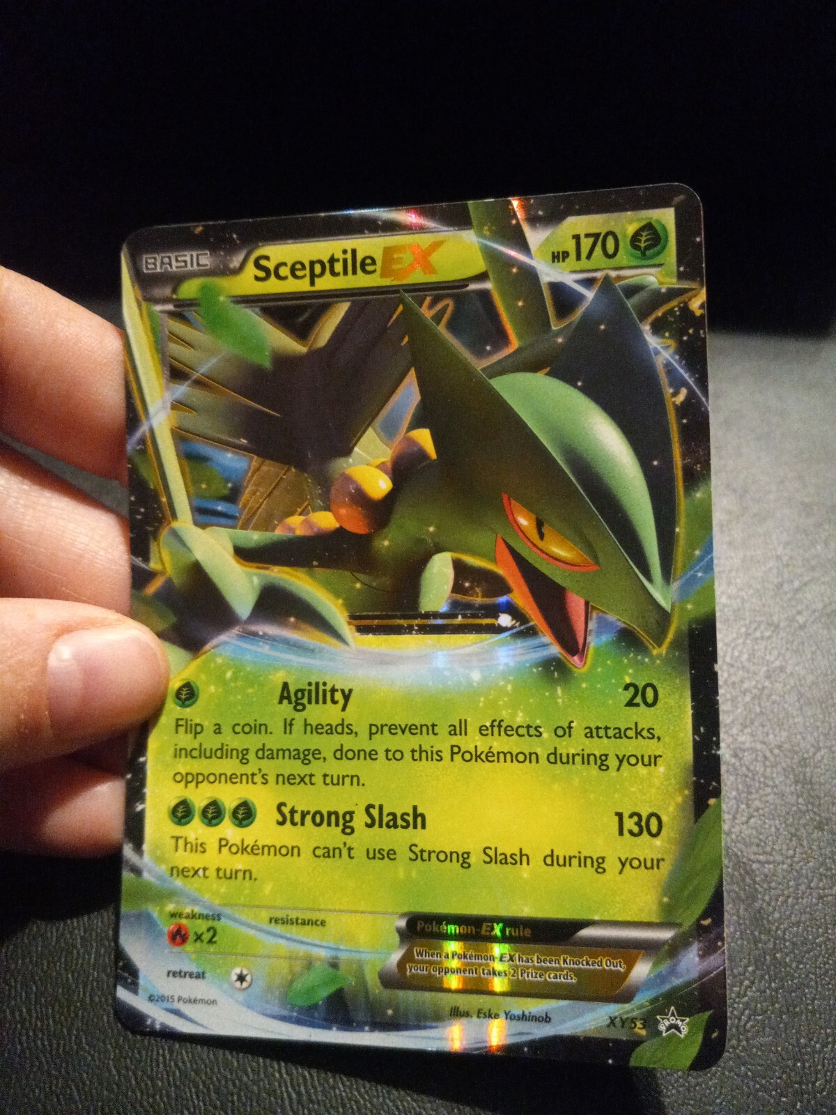 Sceptile Card Ex