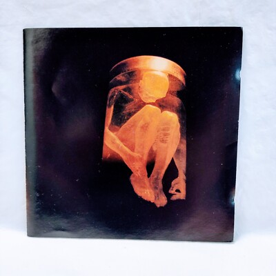 Nothing Safe By Alice In Chains (CD, 1999) | eBay