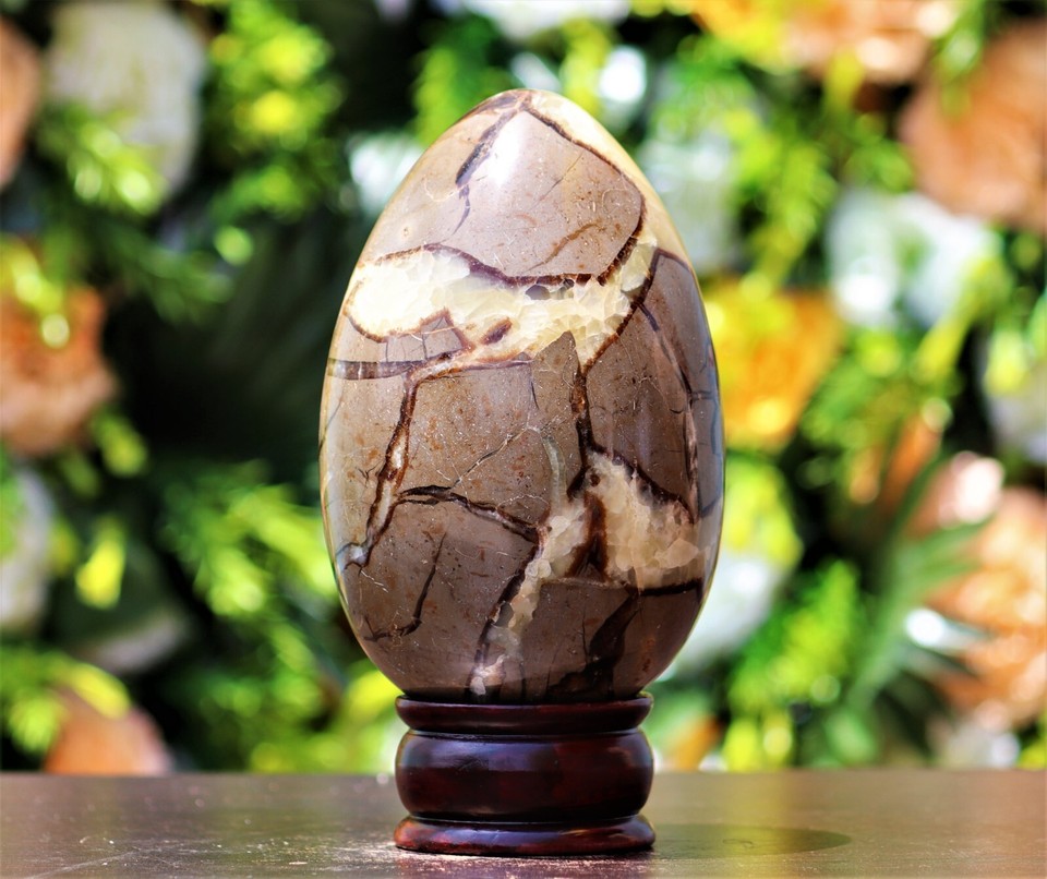 135MM Yellow Septarian Egg Septaria Septeyre Chakra Crystal Healing Gemstone Egg | eBay