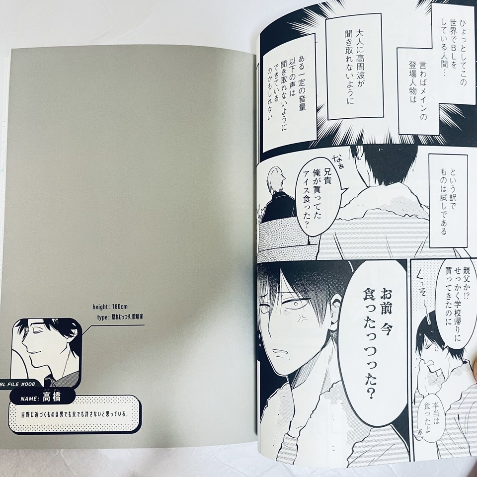 A Man Who Defies the World of BL Vol. 1-5 Japanese Boys Love BL Comic ...
