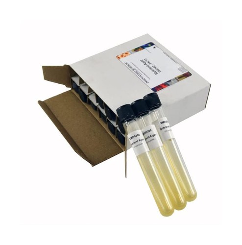 ALDON Innovating Science Nutrient Agar Slant Tubes, Pack of 12 ...