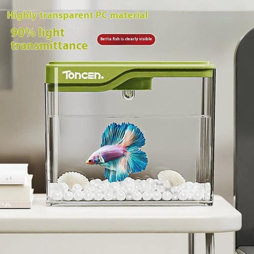 Creative Acrylic Aquarium Transparent Mini LED Lamp Fighting Fish Tank | eBay UK