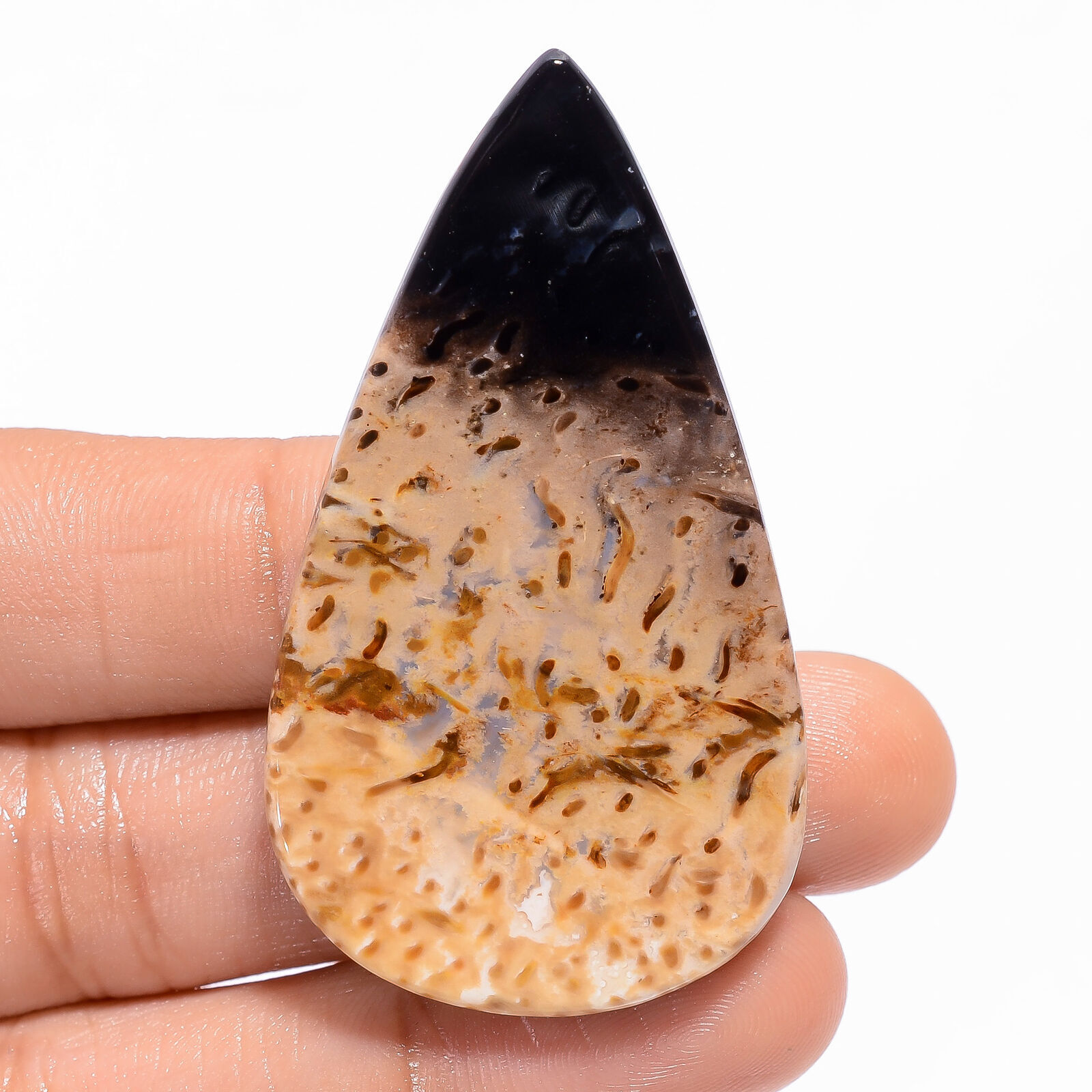 66.00 Cts. 100% Natural Palm Root Agate 52X29X5 MM Pear Cabochon Loose ...