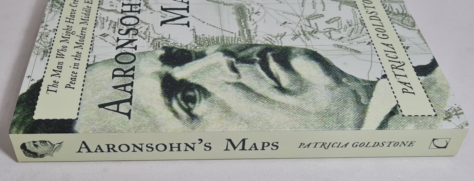 Aaronsohn's Maps by Patricia Goldstone New 9781619025592 | eBay