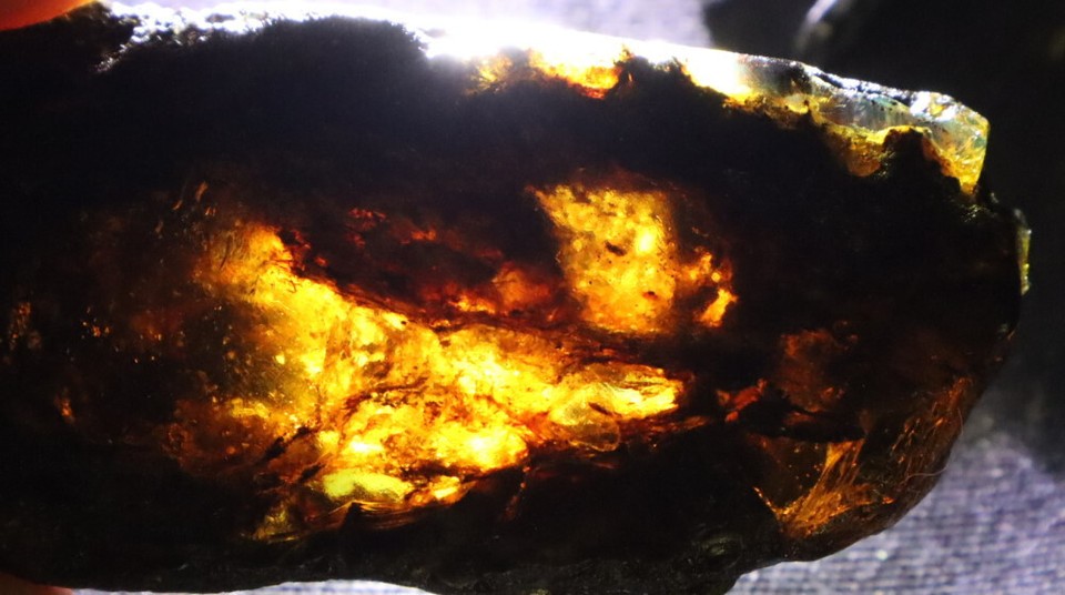 Beautiful Natural Translucent Green Blue Amber Slab Slice Specimen 64mm ...