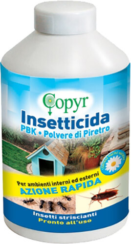 INSETTICIDA POLVERE PIRETRO G.250 | eBay