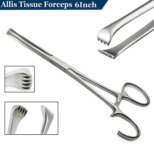 "Allis Tissue Forceps 6'' – Stainless Steel Surgical Clamp, Gynecology ...