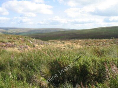 Photo 6x4 Unnamed sike in Hartleyburn Common Plantation Halton Lea Gate ...