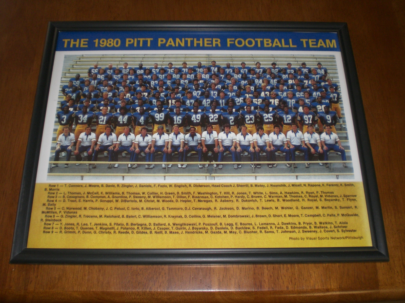 1980 PITT PANTHERS COLOR FRAMED FOOTBALL TEAM 11x14 | eBay