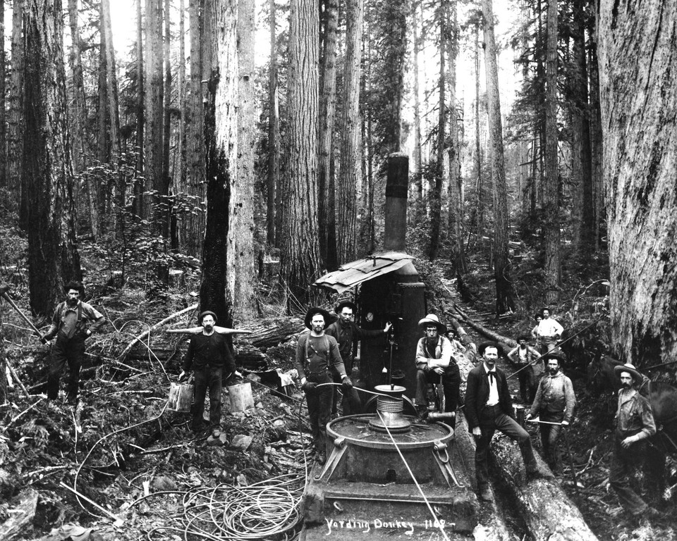 Steam Donkey Engine Yarding Logs Photograph Logging Lumberjack 1908 ...