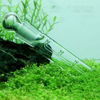 Cleaner Clear Planaria Trap Aquarium Worm Trap Pest Catch Trap Leech ...