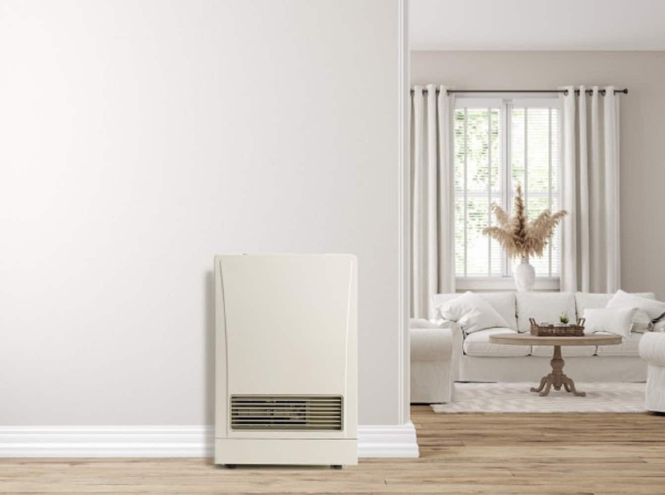 Rinnai EX11DTN Direct Vent Wall Furnace DT Series - Slight Wear | eBay
