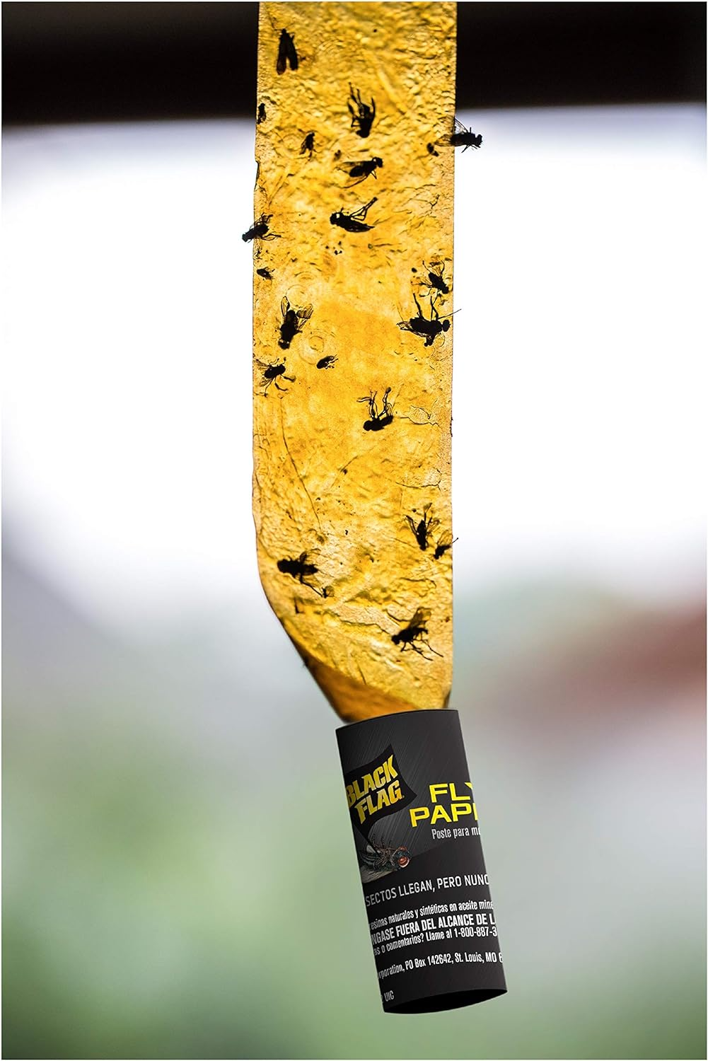 Black Flag Fly Paper, Insect Trap, Catches All Flying Insects 4 Traps ⭐ ...