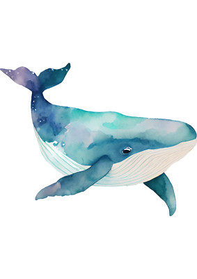 Autoaufkleber Sticker Wal Aufkleber 9X9 cm | eBay.de