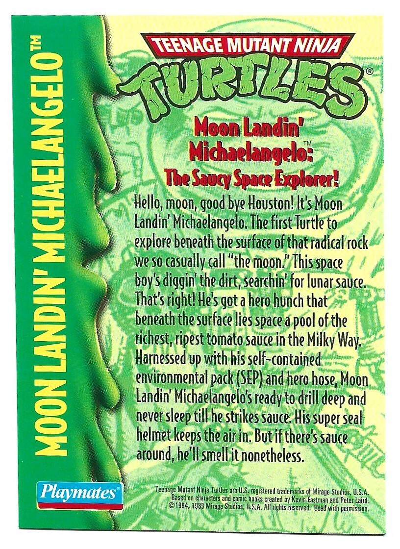 TMNT CARD MOON MICHAELANGELO INSERT PLAYMATES TEENAGE MUTANT NINJA ...