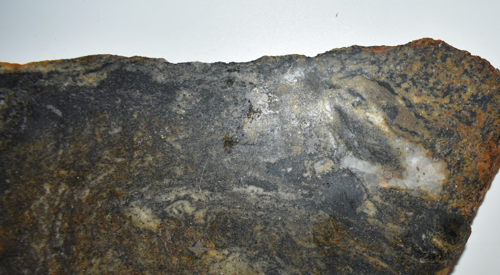 Gold Silver Ore 1800s Ore Knob Copper Mine North Carolina 9" Polished ...