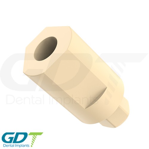 CAD/CAM Peek Body Scan Prosthetic Scanning Int Hex Dental Fixture GDT ...