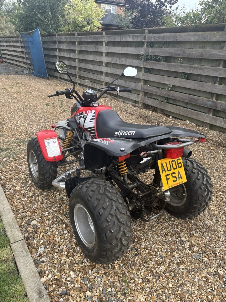 Quadzilla Quad Bike | eBay UK