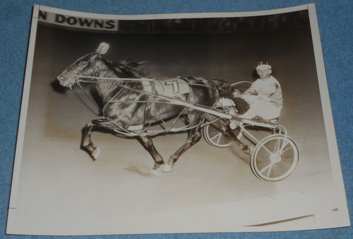 1972 Harness Racing Press Photo Horse Tutti Frutti Clint Galbraith ...