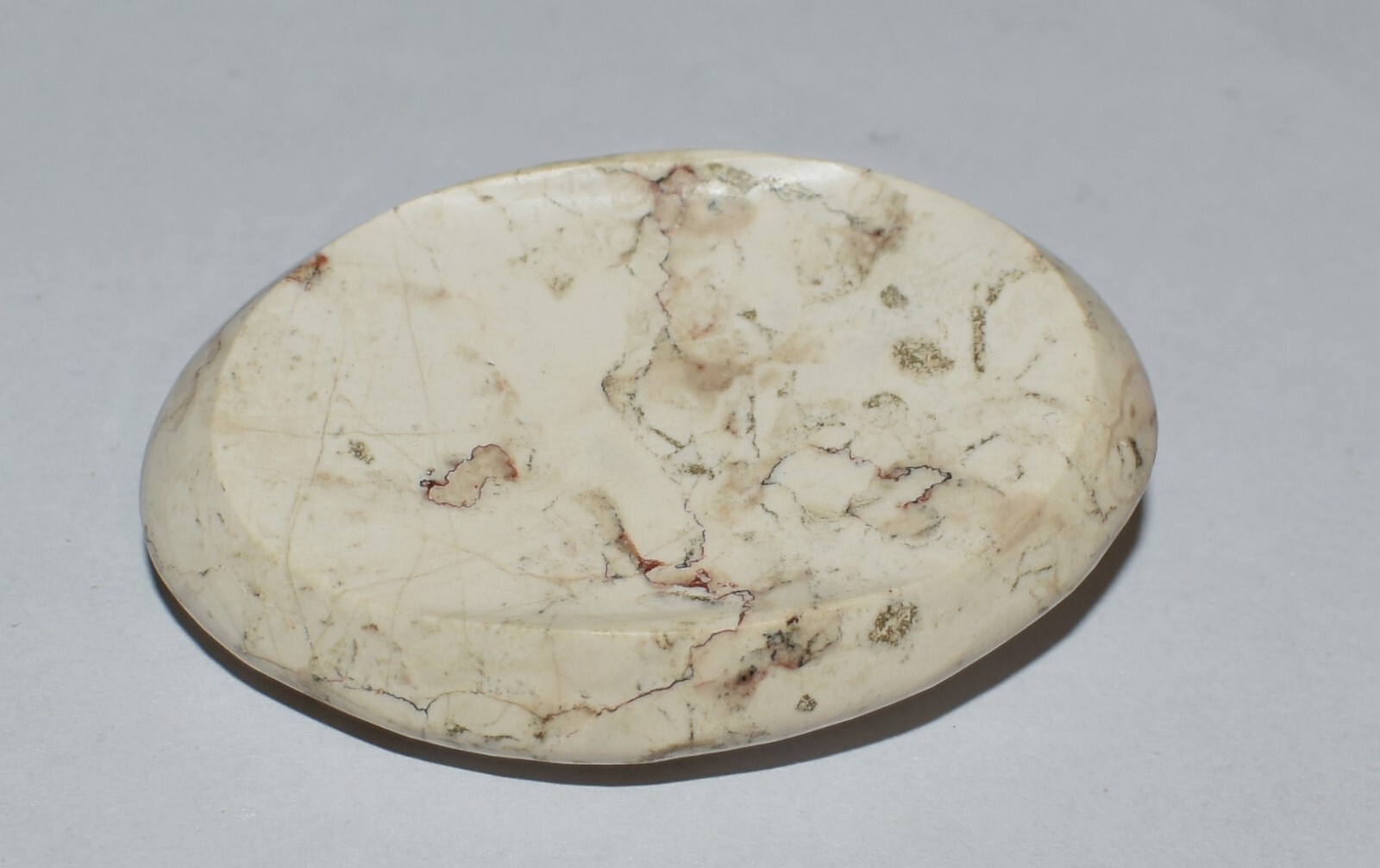 Shellfish Fossil Ancient Seabed Blue Ridge Mountains North Carolina ...