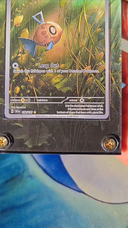 Pokemon Feebas 198/191 IR Custom Display Case from Surging Sparks | eBay