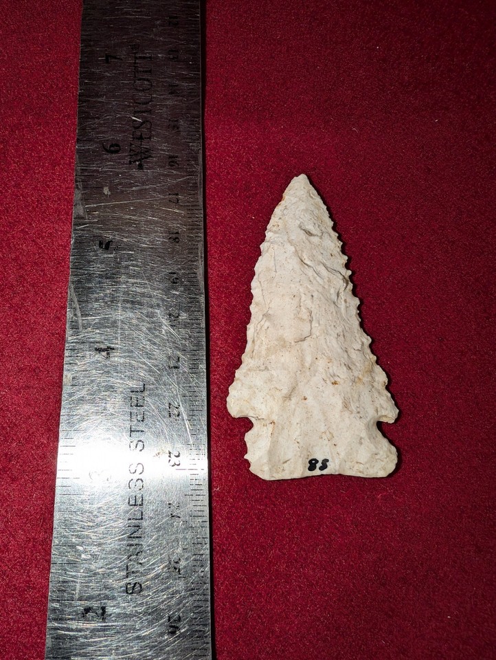 Arrowheads COA Pine Tree Lyon Co.Kentucky | eBay