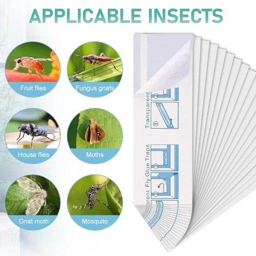 60 Pcs Window Fly Traps for Indoor/Outdoor, Insect, Bugs, & Transparent ...